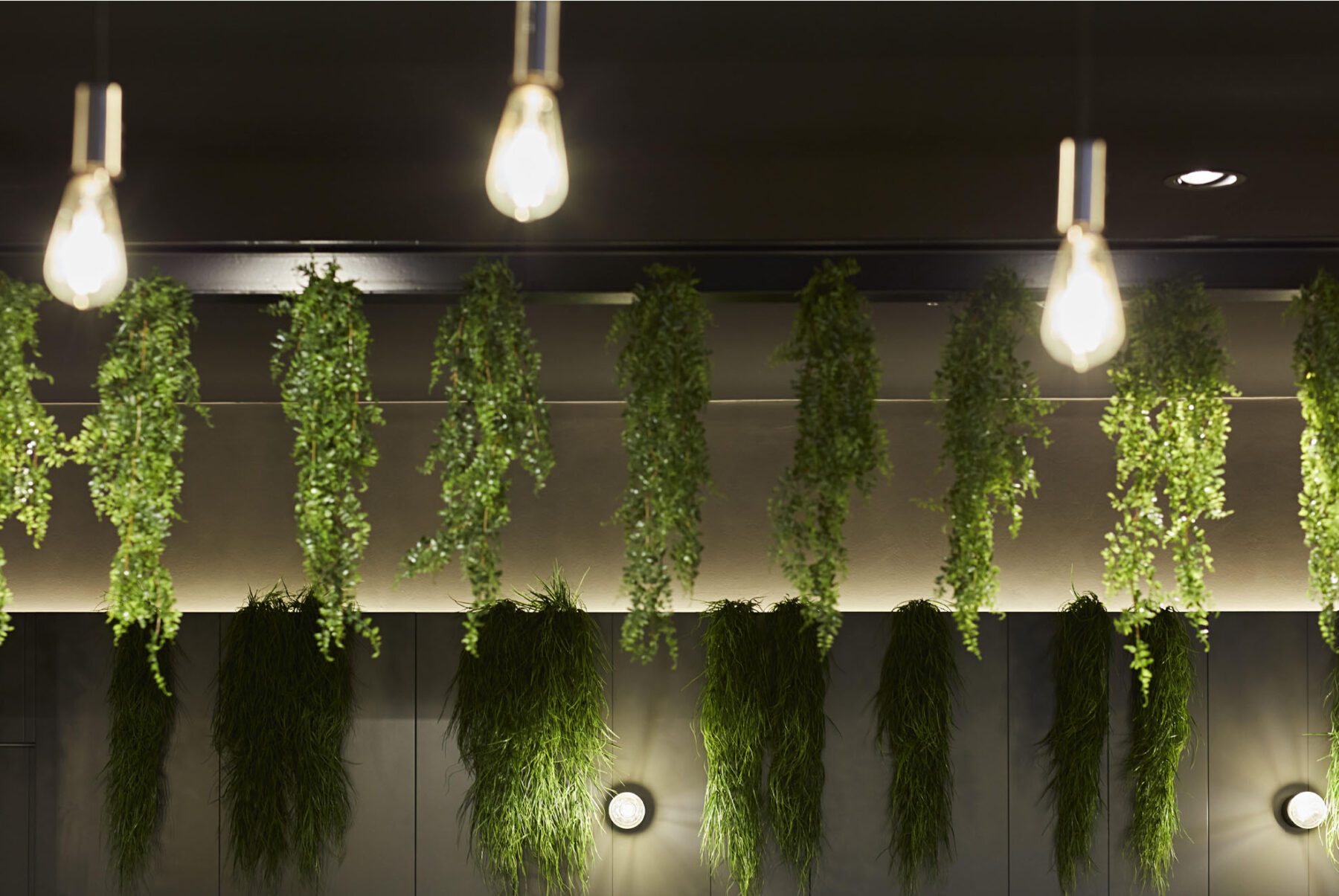 Espresso Room Hyperdome - Hurst Concepts